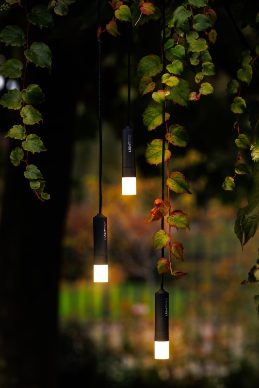 Lightpro 12V Rodas Pendant Light